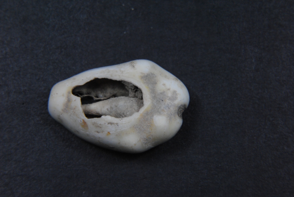 National Mission on Monuments and Antiquities