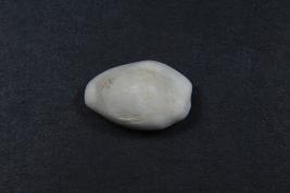 National Mission on Monuments and Antiquities