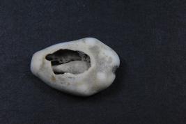 National Mission on Monuments and Antiquities